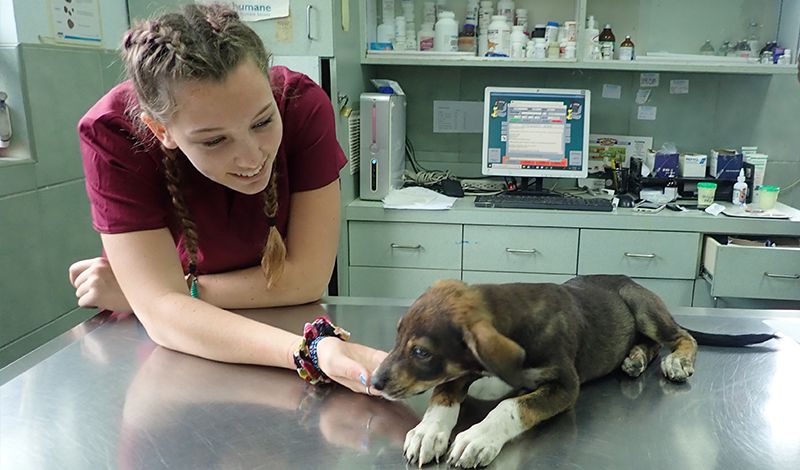 Summer Programs for Teens | Broadreach Summer Adventures