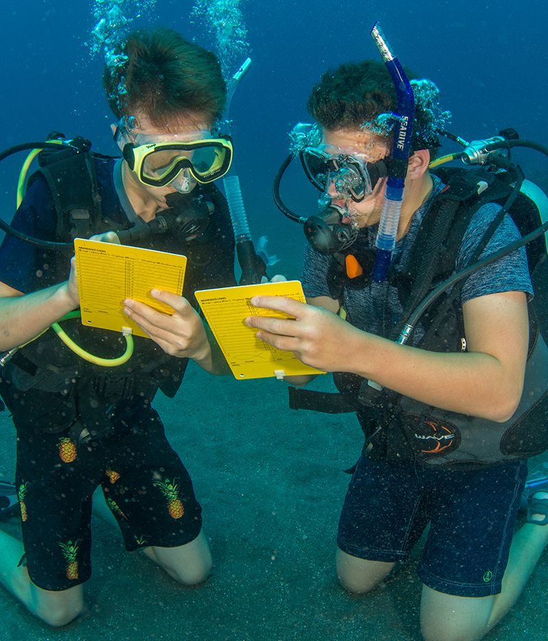 Broadreach | Summer Programs for Teens Abroad