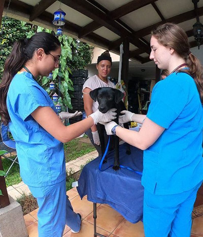 Broadreach | Summer Programs for Teens Abroad