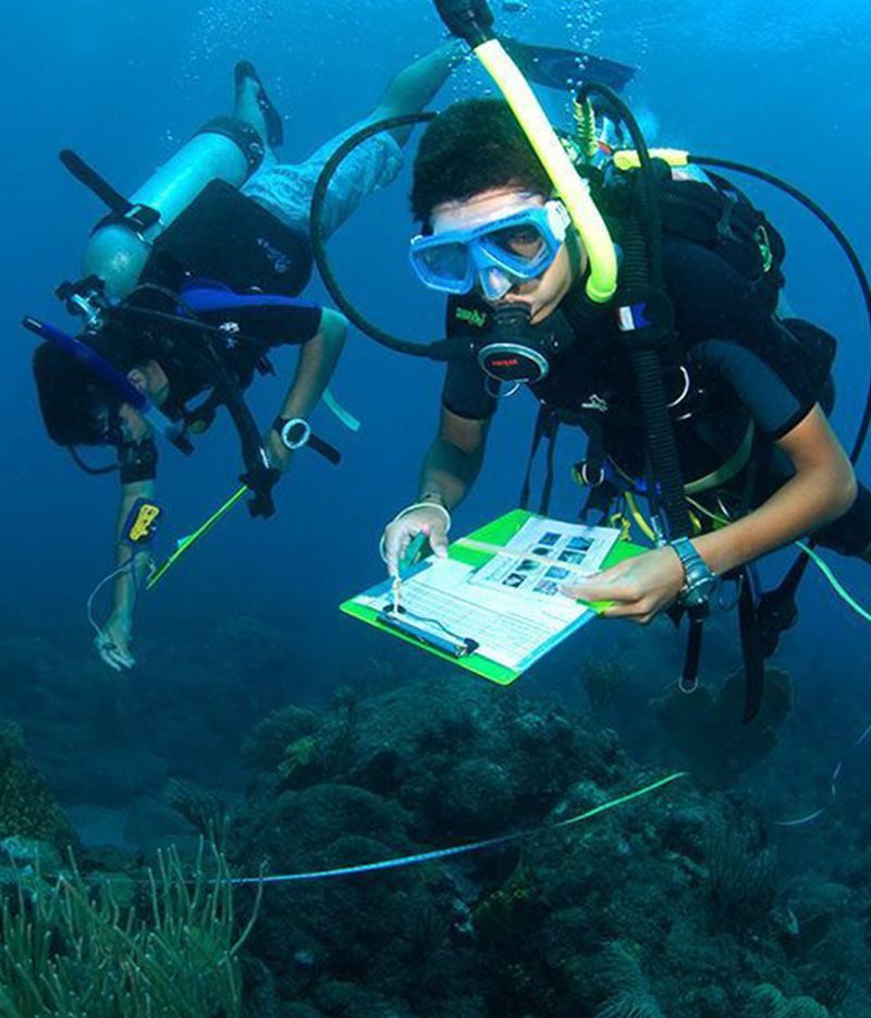 Broadreach | Summer Programs for Teens Abroad