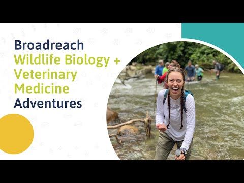 Veterinary Wildlife Courses | Broadreach