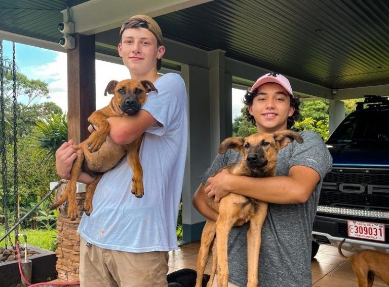 Veterinary Medicine Summer Programs & Camps | Broadreach