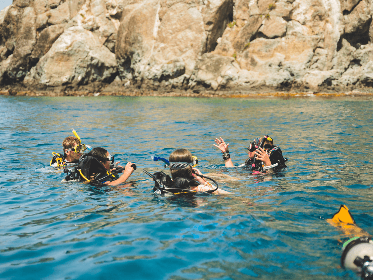 PADI Dive Certifications 101: Your Guide to Diving with Broadreach