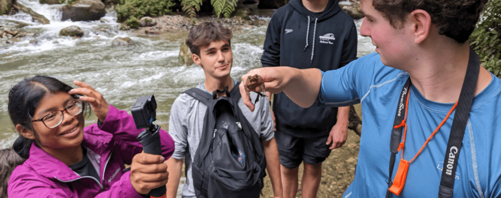 Wildlife Conservation Summer Camps for Teens | Broadreach