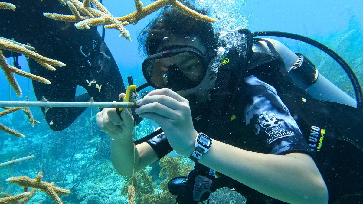 Marine Life Threats: Understanding and Protecting Our Oceans